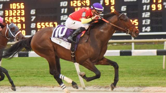 Graded Winner Quip Will Begin Eventing Career After Withdrawal From UAE ...