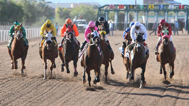 No Racing At Rillito In 2025 Due To Tainted Bidding Process - Paulick ...