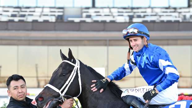 Front-Running Tarifa Denies Gun Song In Mother Goose - Paulick Report ...