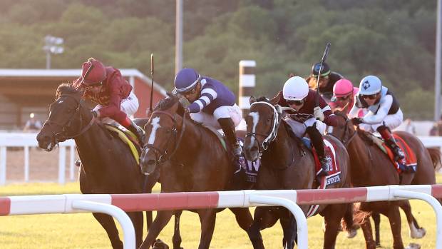 Penn Mile Night Achieves Record Handle Over $5.7 Million - Paulick ...