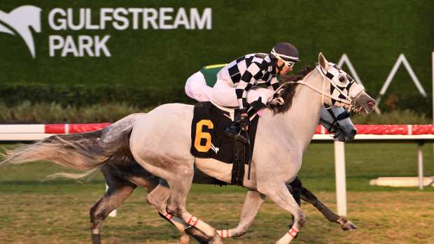 Lord Eddard Stark - Paulick Report | Latest news and commentary from ...