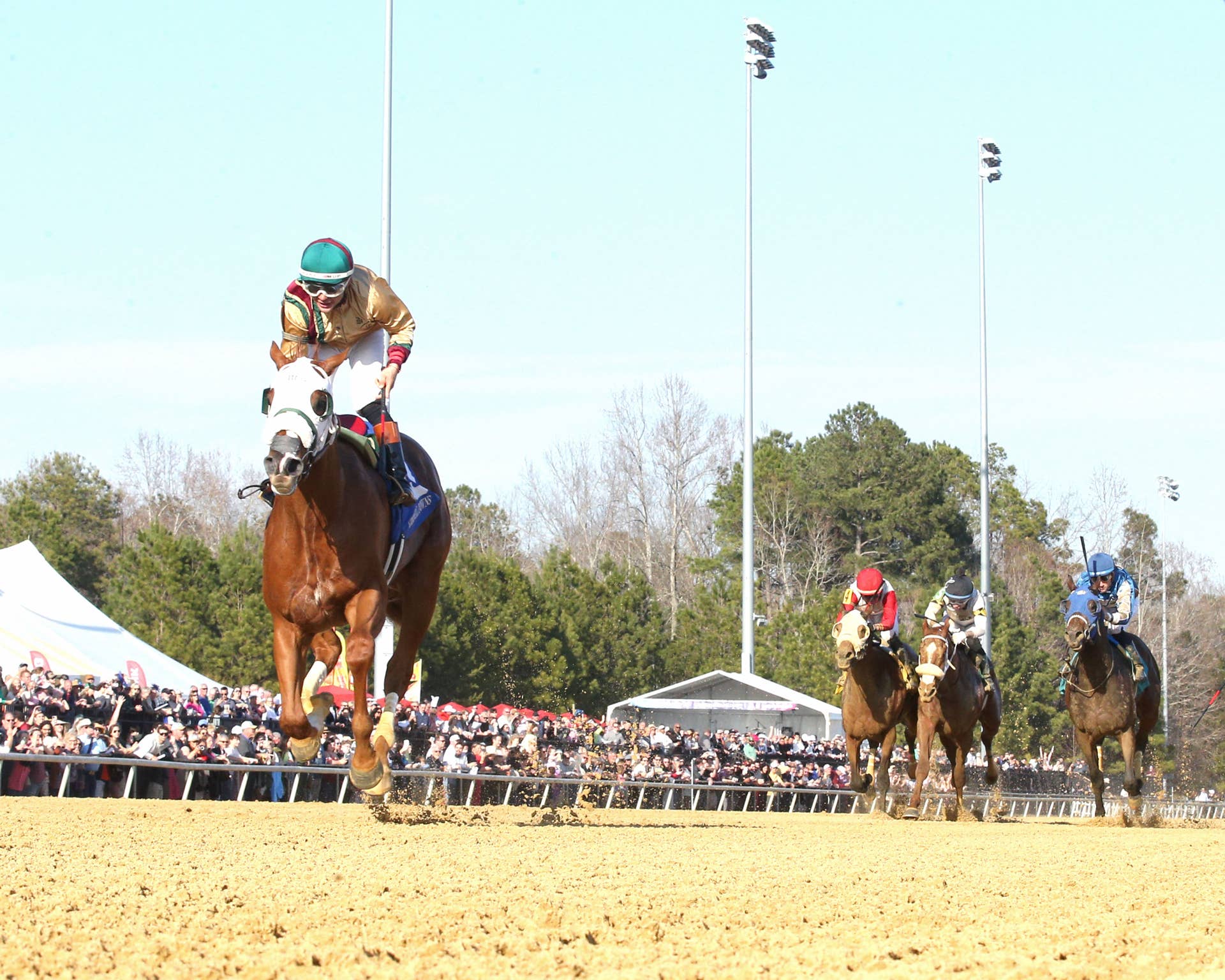 'Training Good': Virginia Derby Third Omaha Omaha Possible For Wood ...