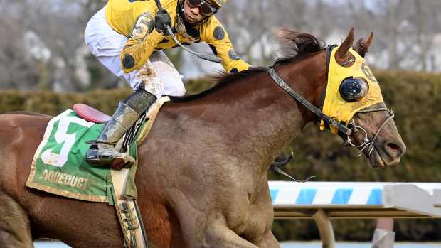New York-Bred Bank Frenzy Rolls Home In Stymie For Third Straight Win ...