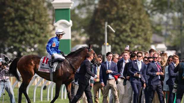 Silver Knott Notches First U.S. Win In Elkhorn - Paulick Report ...