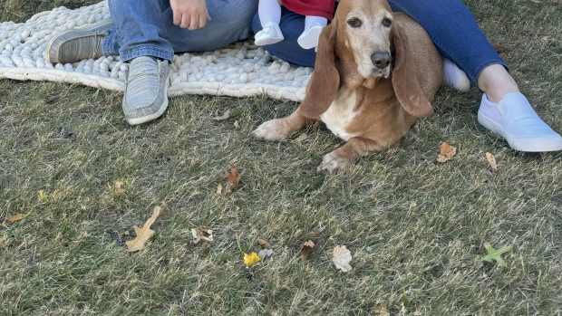 ‘A Crazy Sign’: How Meadowlands Pace Winner Charlie May Inspired A ...