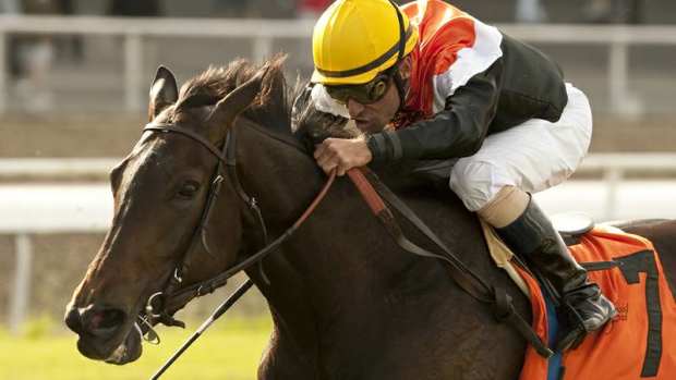 Canadian Horse Racing Hall Of Fame Announces Thoroughbred, Standardbred ...