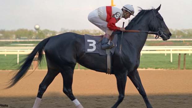 Paul Mellon, Ruffian Among Summer Highlights At National Museum Of ...