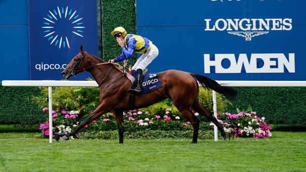 ‘There’s Nothing Prohibiting Him’: Goliath’s Stringhalt Shouldn’t ...