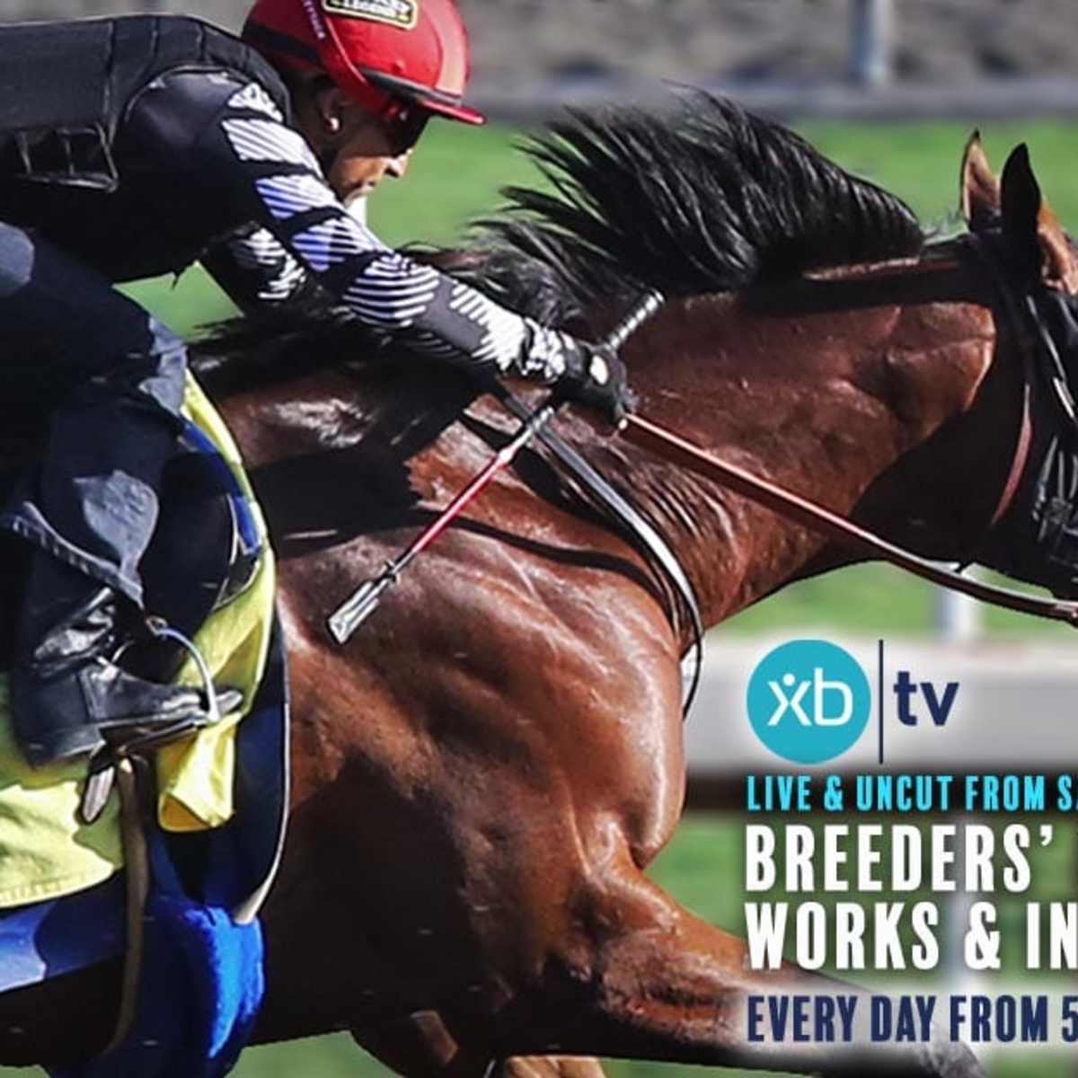 Santa Anita Workouts Xb | EOUA Blog