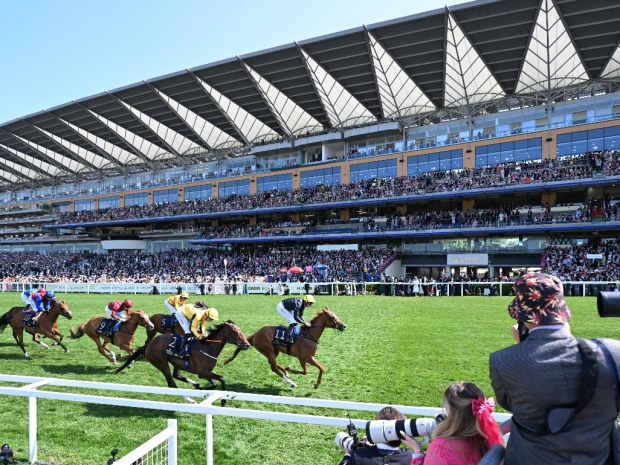 Desert Oasis: Go Inside Dubai's Zabeel Stable - Paulick Report | Latest ...