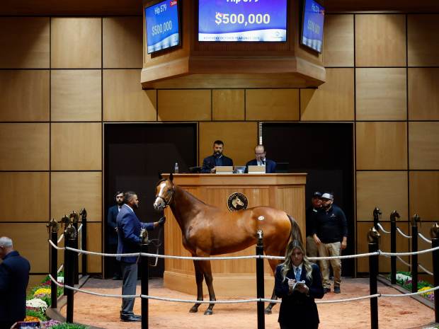 Stifled Heiress Tops Fasig-Tipton October Digital Sale - Paulick Report ...