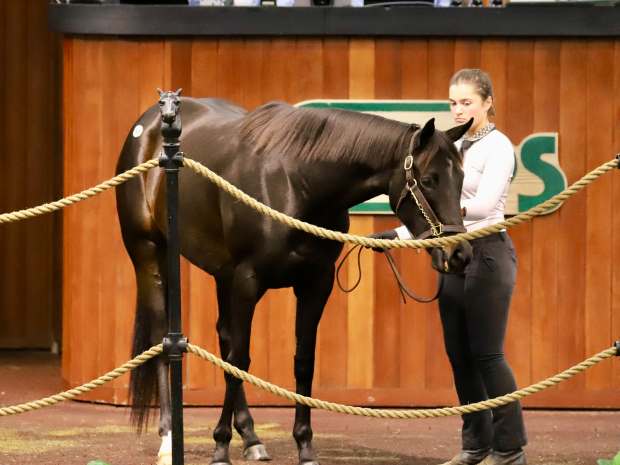 Trainer Jason Servis' Trial Date Set For January Of 2023 - Paulick ...