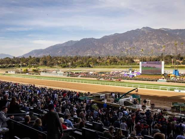 Track Phantom Play Of The Day: Opener At Santa Anita - Paulick Report ...