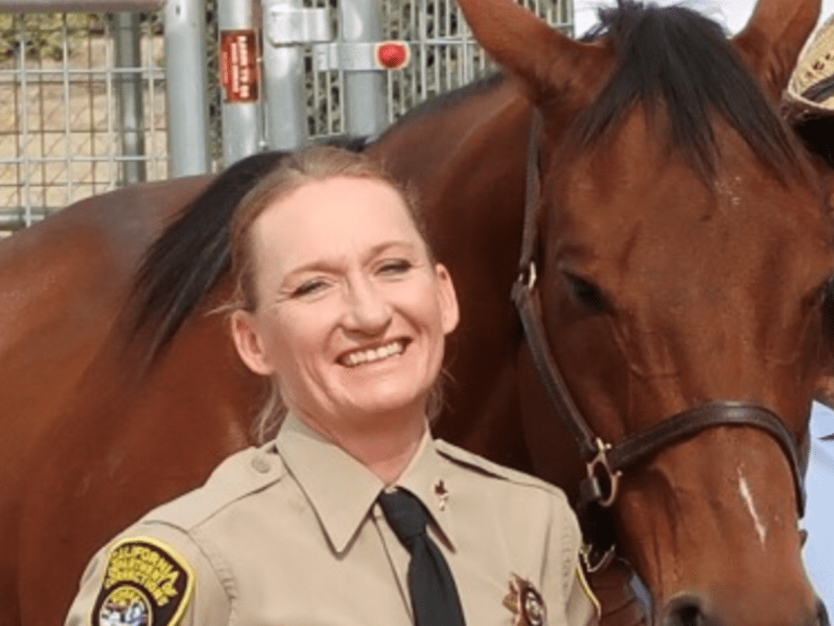 A Hero’s Heart: Deputy Erin Gibbs’ Fight to Save a Horse in Need – New ...