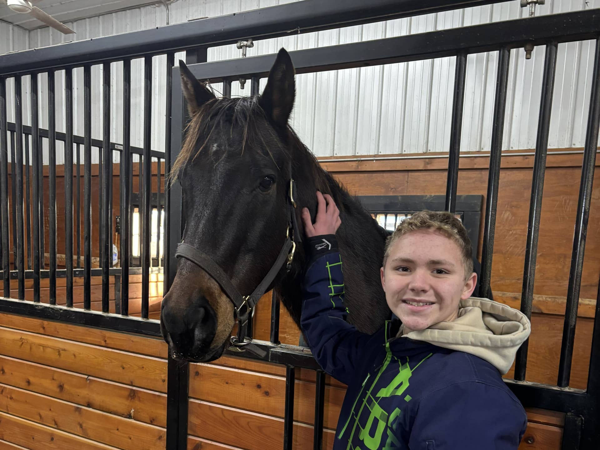‘The Most Amazing Horse We’ve Ever Met’: Warhorse OTTB Busting ...