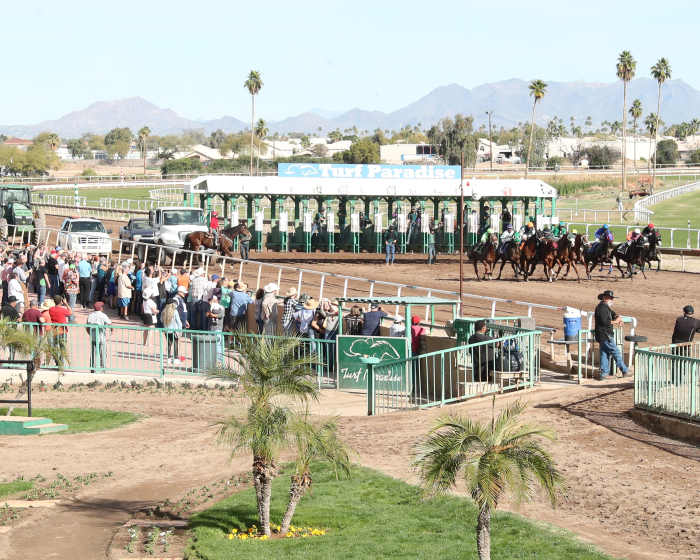 Turf Paradise Could Have New Operator In Coming Months - Paulick Report ...