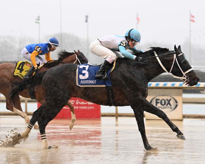 Super Chow Could Aim For Carter Following Tom Fool Victory - Paulick ...