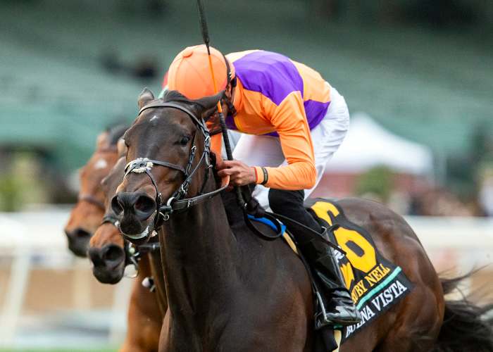 Ruby Nell Romps Gate To Wire In Buena Vista - Paulick Report | Latest ...