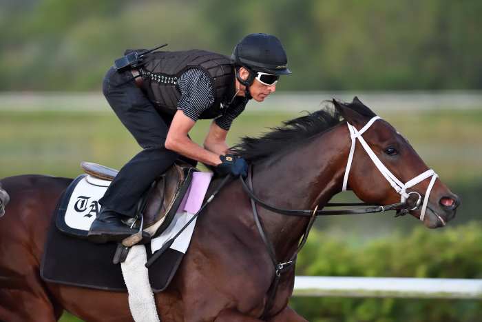 Fierceness Leads NTRA Top Thoroughbred Poll Heading Into Breeders' Cup ...