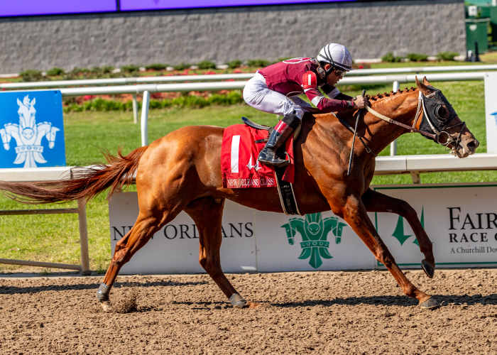 Red Route One Goes To Narvick International For $550,000 At Fasig ...