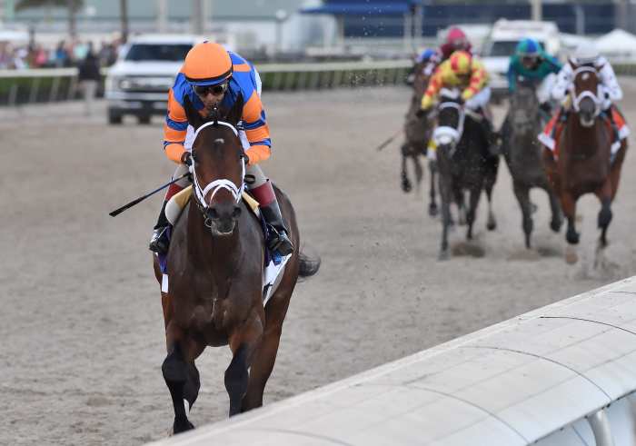 3-Year-Old Fierceness Ranked Fifth In LONGINES World's Best Racehorse ...