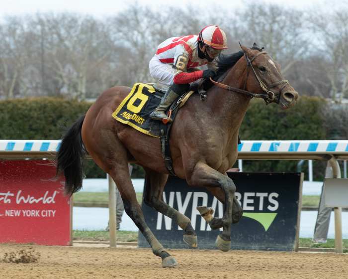 Reasoned Analysis Strikes At 15-1 In Bay Shore - Paulick Report ...