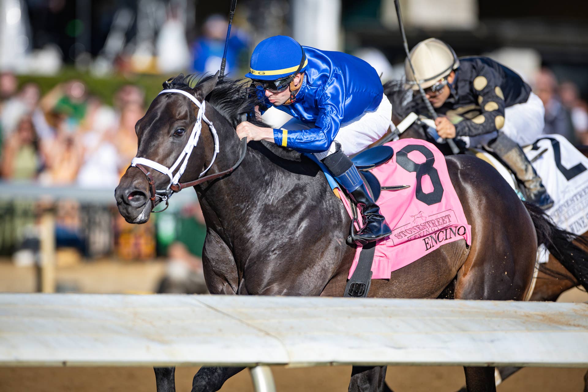 Bloodlines Presented By Walmac Farm: Encino Continues A Sire Line Power ...