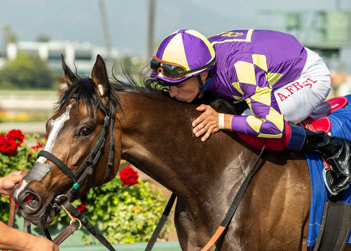 Medoro Returns To Her Favorite Track For Autumn Miss - Paulick Report ...