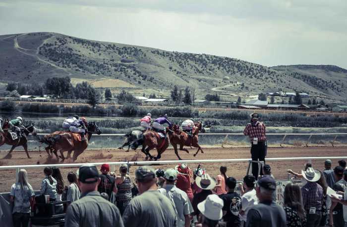 Marc Falcone, Ron Winchell Among Buyers Of Wyoming Downs - Paulick ...