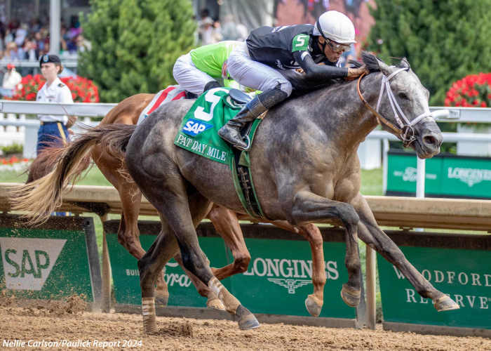 Seize The Grey Gives Many, Many Owners A Thrill With Pat Day Mile Win ...