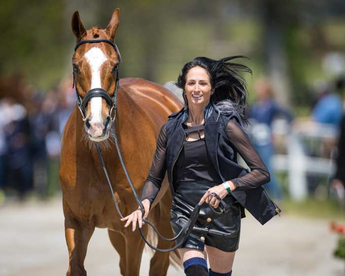 Thoroughbreds In Maryland 5 Star Embody Different Positive Qualities Of ...