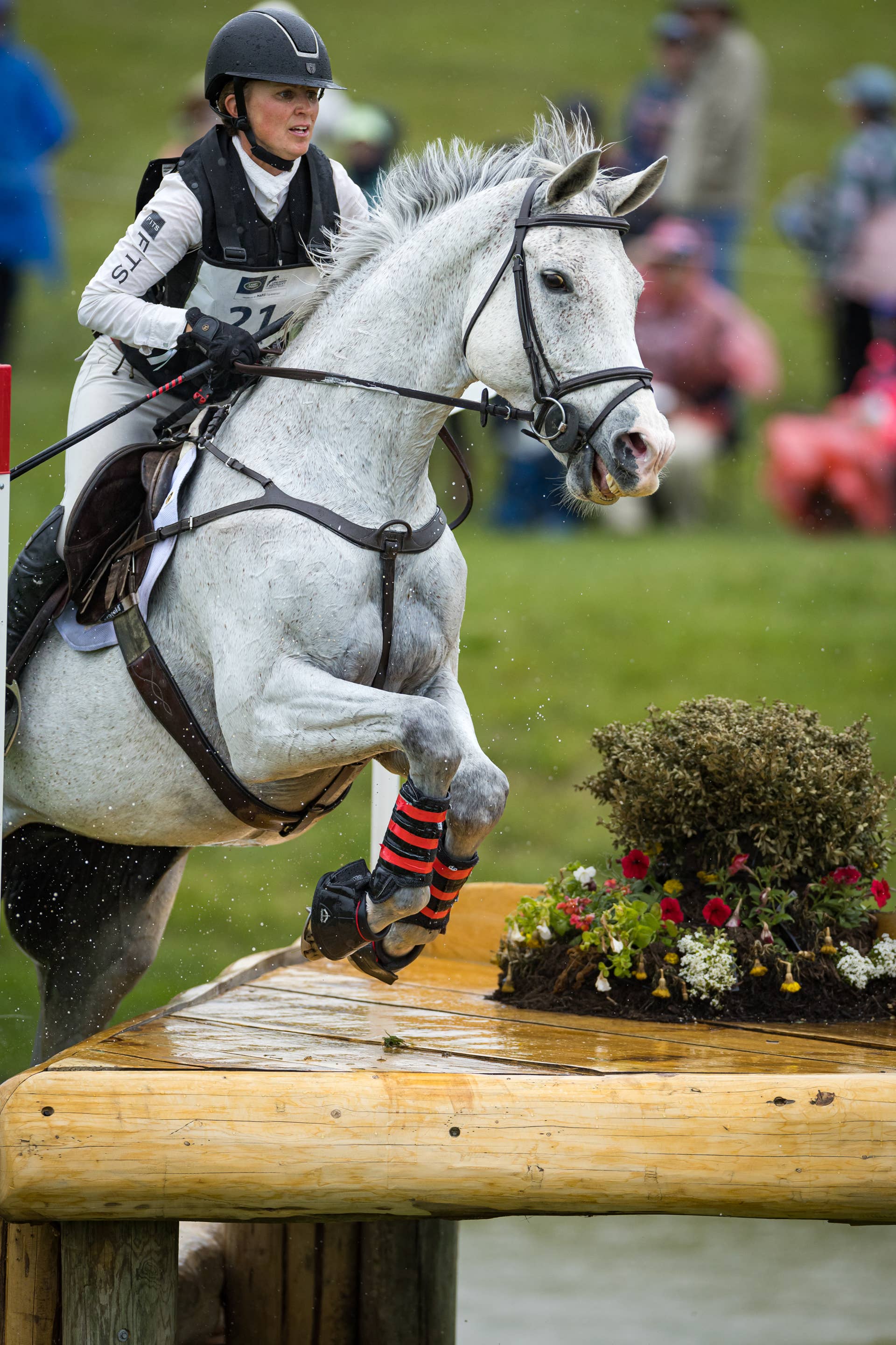 ‘One For The Ages’: Canadian OTTB Wabbit Completes Fourth International ...