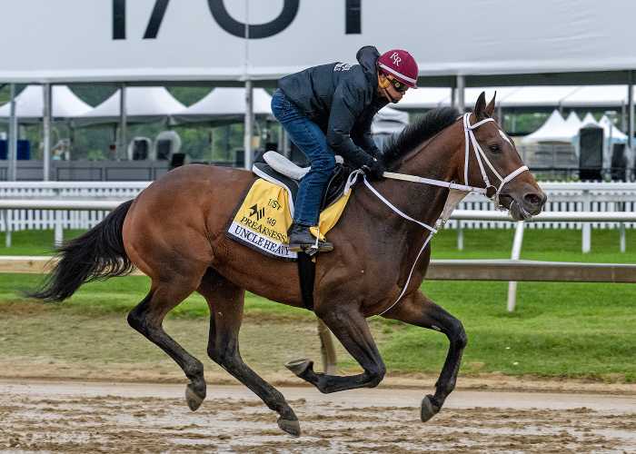 Preakness: Uncle Heavy Produced From $1,700 Mare, $5,000 Stud Fee ...