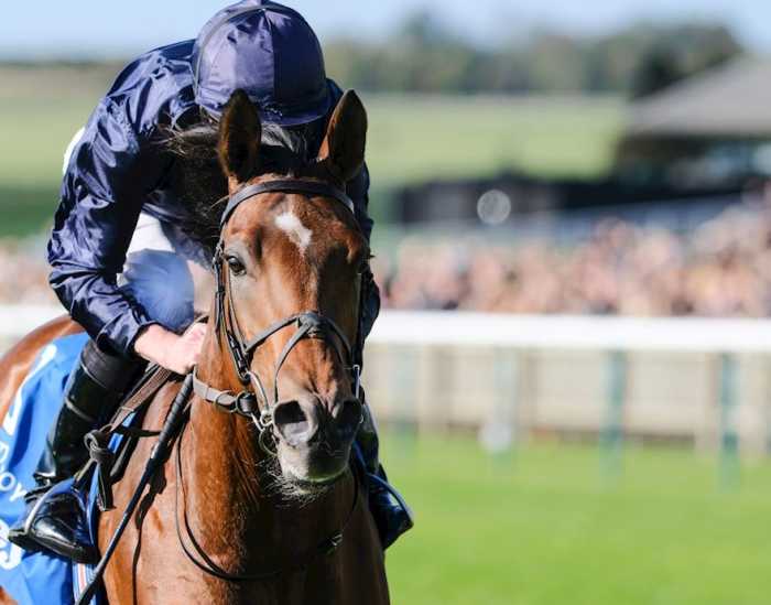 Justify's City Of Troy Headlines Epsom Derby - Paulick Report | Latest ...