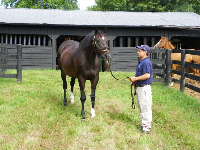 Saratoga Statues: Storm Cat Stands In At Centennial Park - Paulick ...