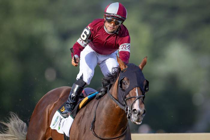 Bloodlines Presented By Walmac Farm: Dual Classic-Producing Mare Puca ...