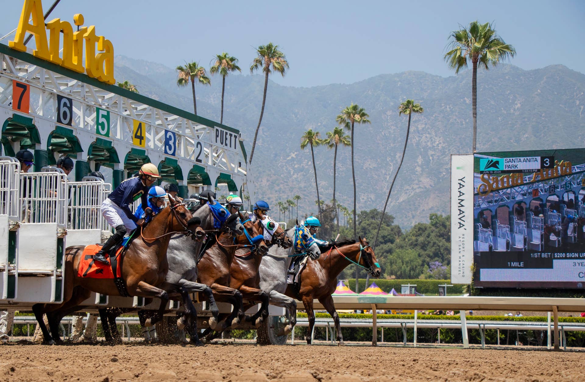 Report: Keith Brackpool Hired To Explore Sale Of Stronach Tracks ...