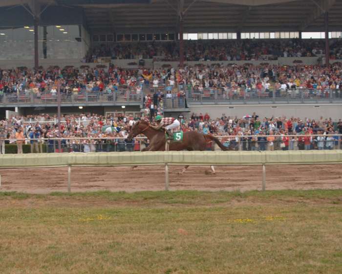 Tribute To Funny Cide Scheduled At Finger Lakes July 4 - Paulick Report ...