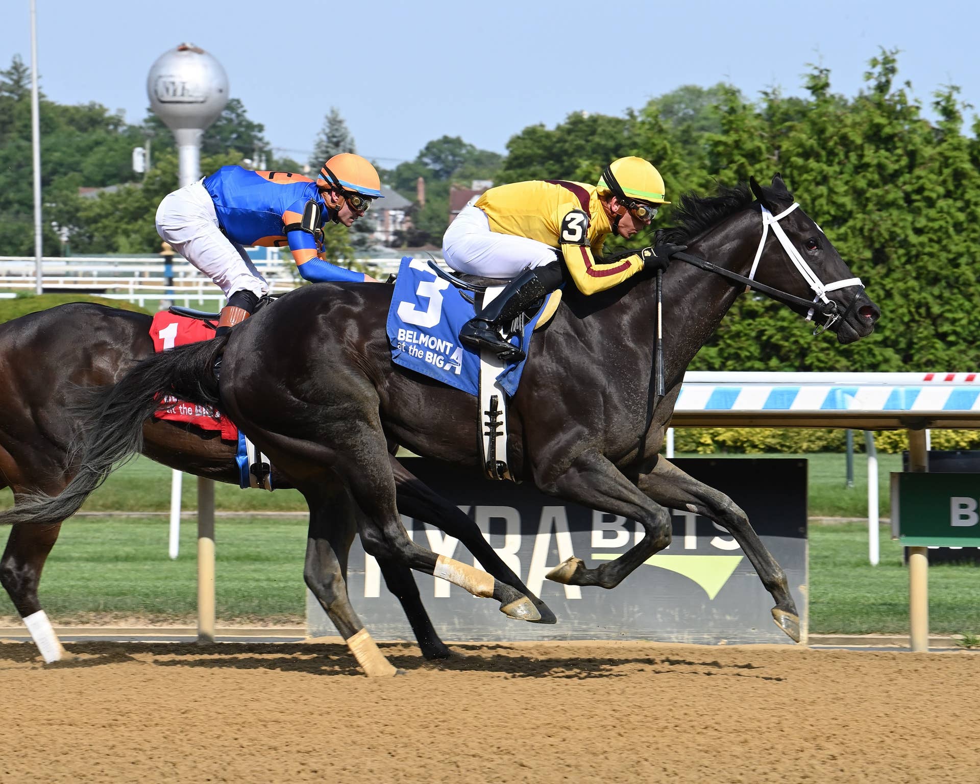 Emery Wears Down Mystic Lake To Gain First Graded Stakes Score In ...
