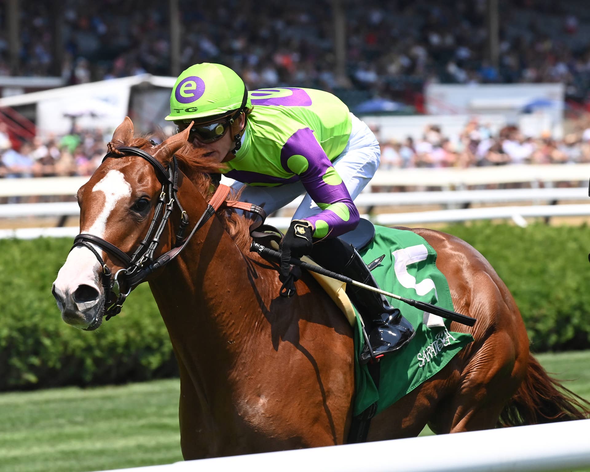 Carl Spackler Rebounds To Take Kelso For Third Saratoga Graded Win ...