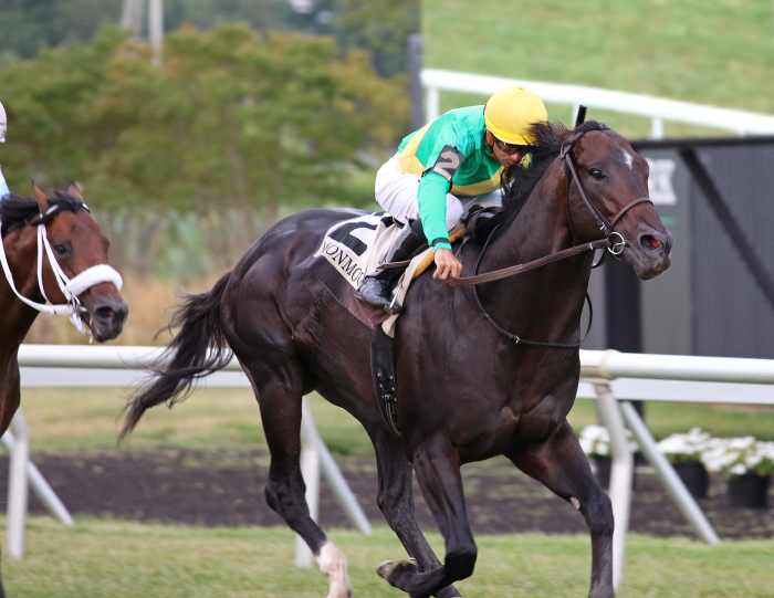 Apollo Ten Caps Weekend Stakes Double At Monmouth For Clement, Rendon ...