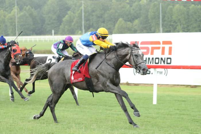 Tufani Among Virginia-Breds To Shine At Rainy Colonial Downs - Paulick ...