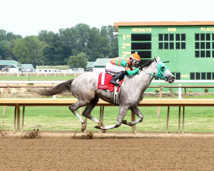 Here Mi Song Scores Repeat Win In Ellis Park's Jeff Hall Memorial ...