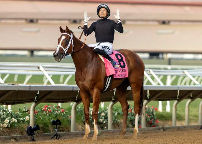 The Chosen Vron Repeats As California's Horse Of The Year In 2024 ...