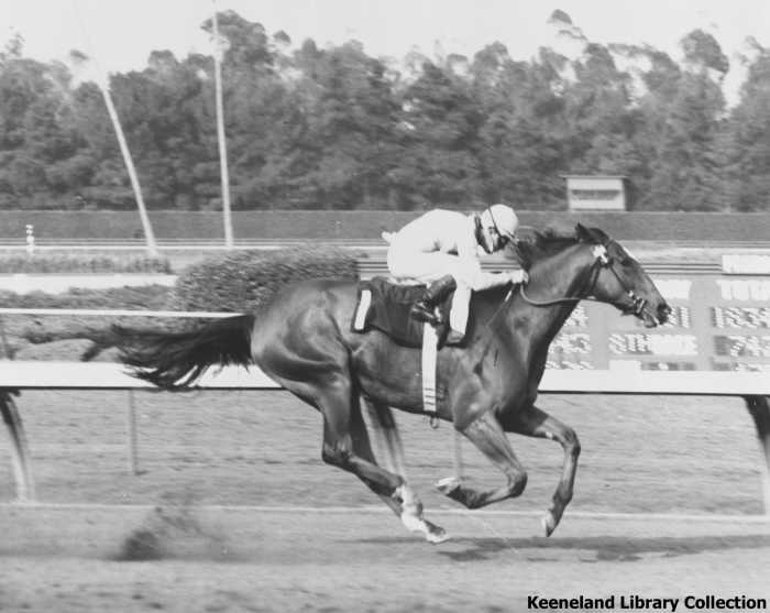 Lest We Forget: Well-Named Gamely Was A Gentle Giant Who Didn't Quit ...