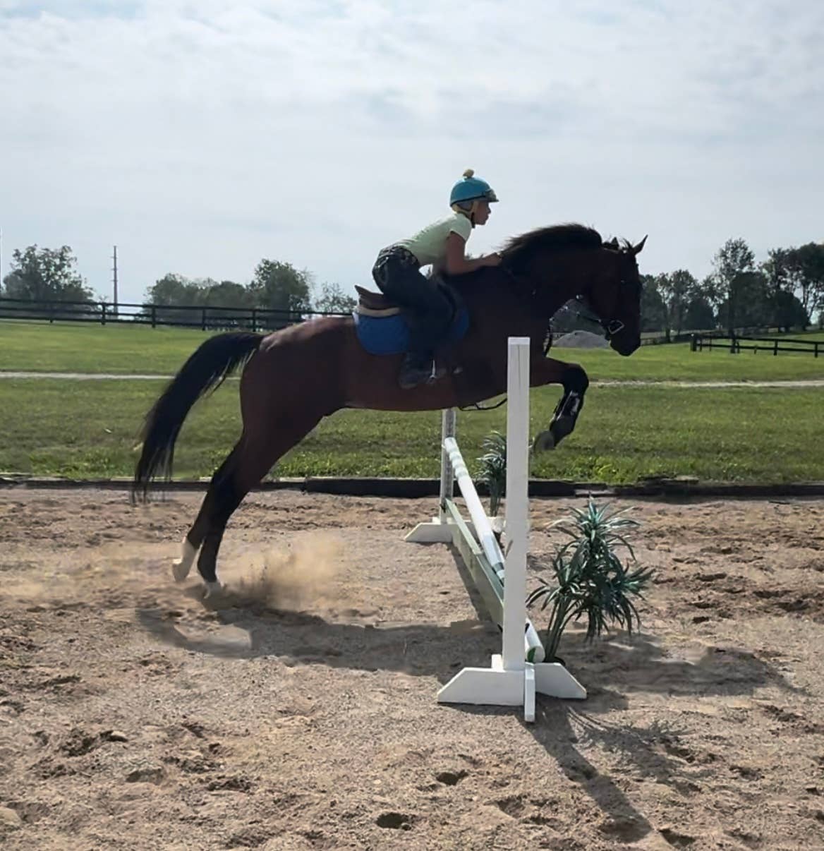 Every Step Of The Way: Andie Biancone And Diamond Oops Start His Next ...