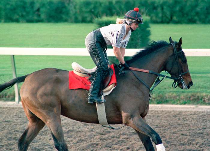 Kirkpatrick & Co. Presents In Their Care: A Magical 40-Year Ride Nears ...