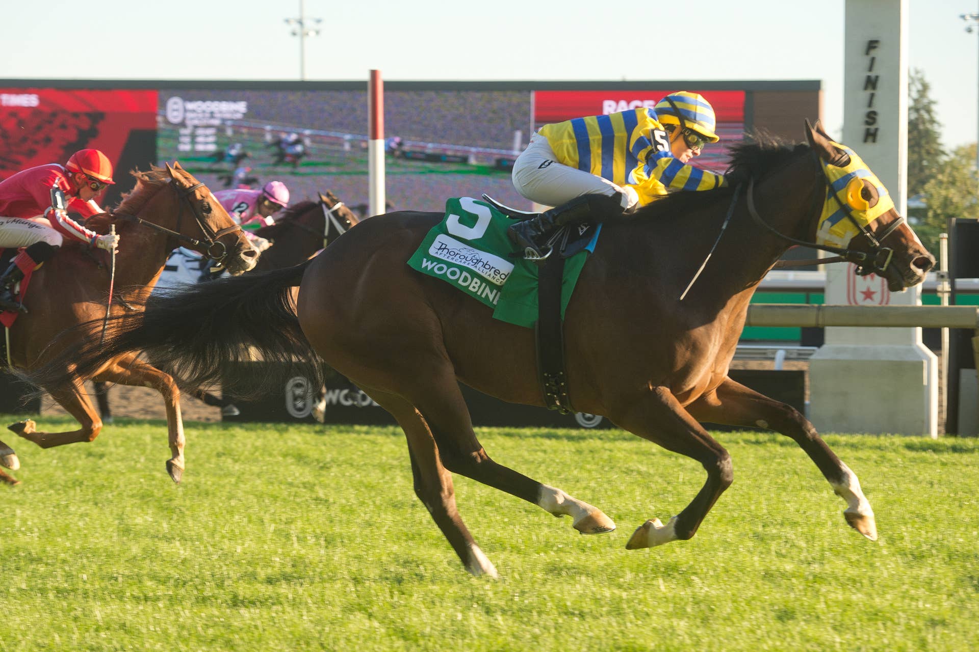 Gutsy Patches O’Houlihan Re-Rallies For Nearctic Triumph - Paulick ...