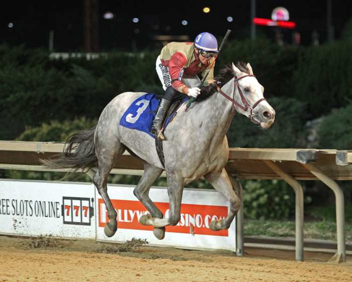 'He's Just All Racehorse': Jubawithatwist Headlines West Virginia ...