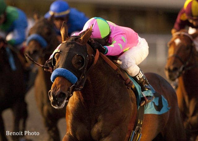 Liaison Horse of the Meet at Hollywood Park - Paulick Report | Latest ...